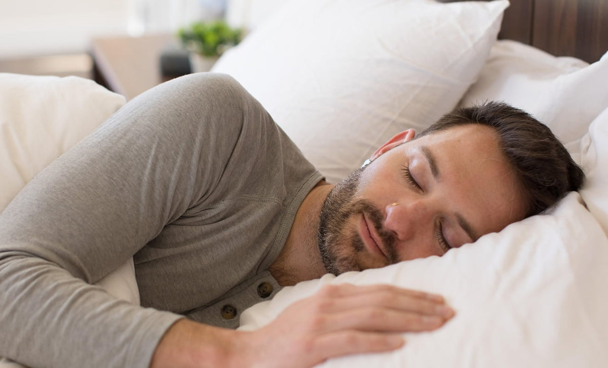 Montclair Bed Frame | 12.5 Inch Platform – SLEEP365®